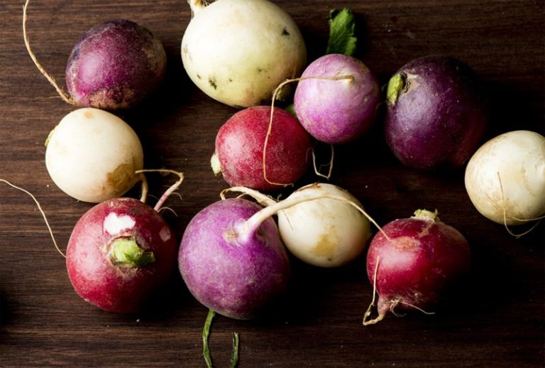 Radish and Type 2 Diabetes